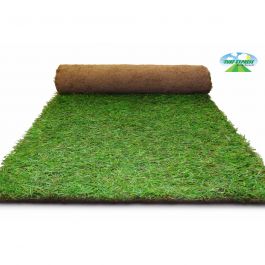 Premium Lawn Turf: Quality Grass Turf | Turf Express London & Kent