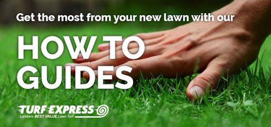 Eco Turf: Cheap Turf Online Only £1.99 | Turf Express London & Kent