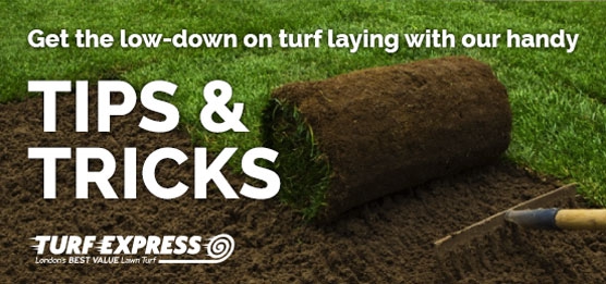 Eco Turf: Cheap Turf Online Only £1.99 | Turf Express London & Kent